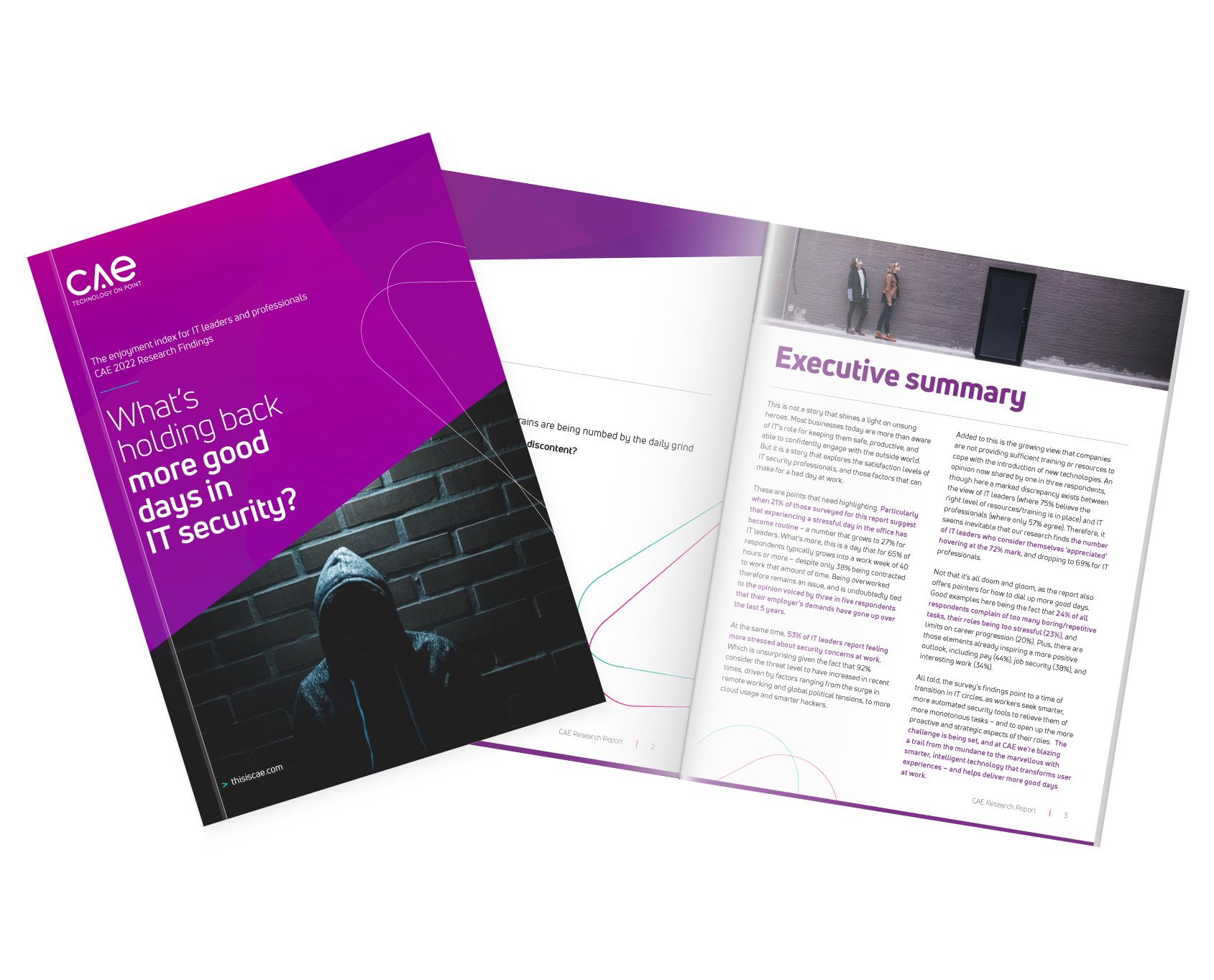 IT Infrastructure Solutions | CAE Technology Services