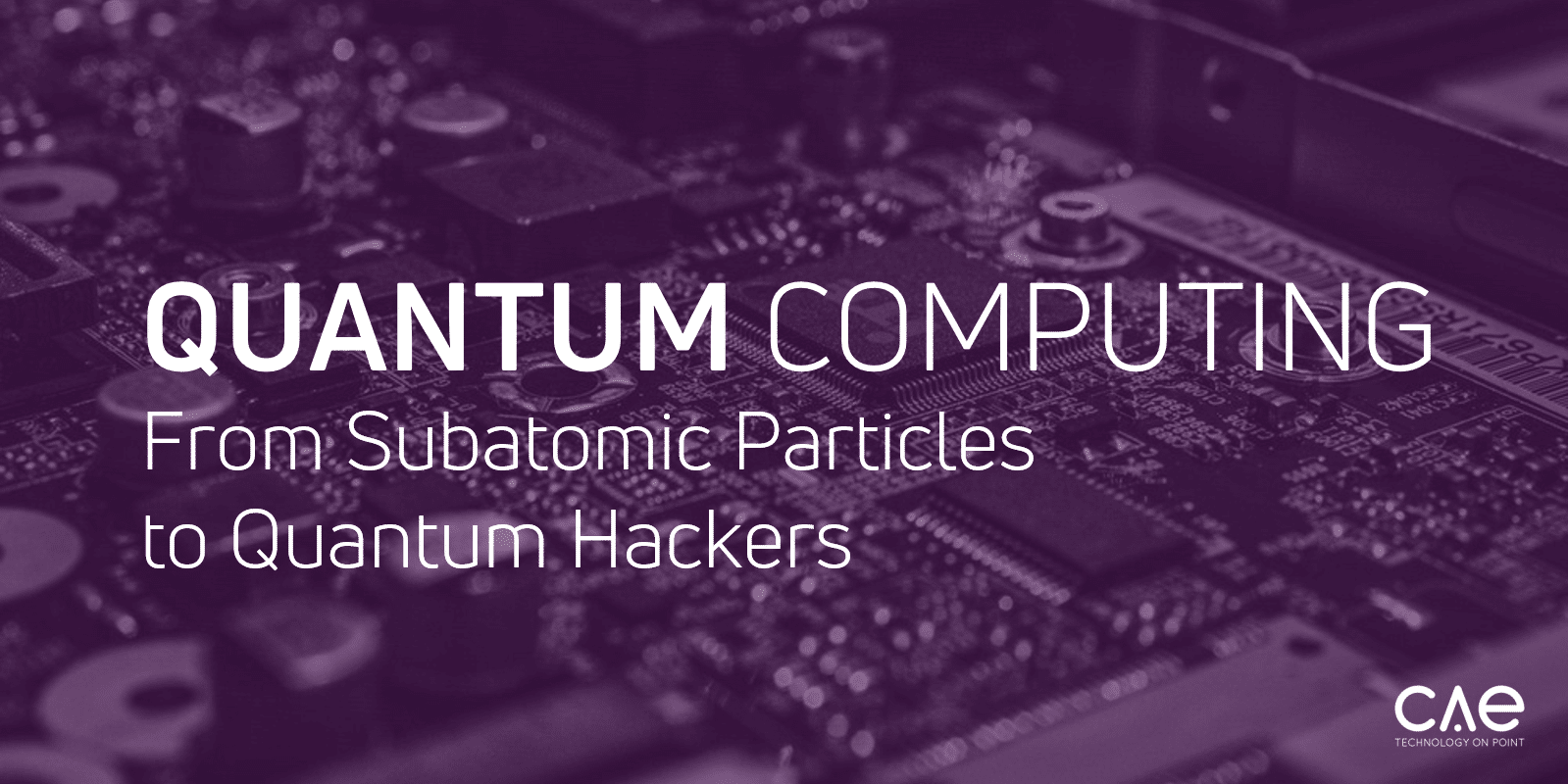 Quantum Computing: From Subatomic Particles to Quantum Hackers